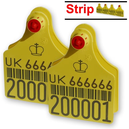 Sheep Tags, Cattle Tags, Tissue sampling, EID, Runs, Replacement