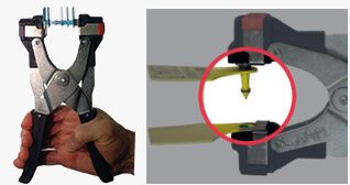Why Caisley™ tags? – Cattle tags, Caisley Eartag ltd